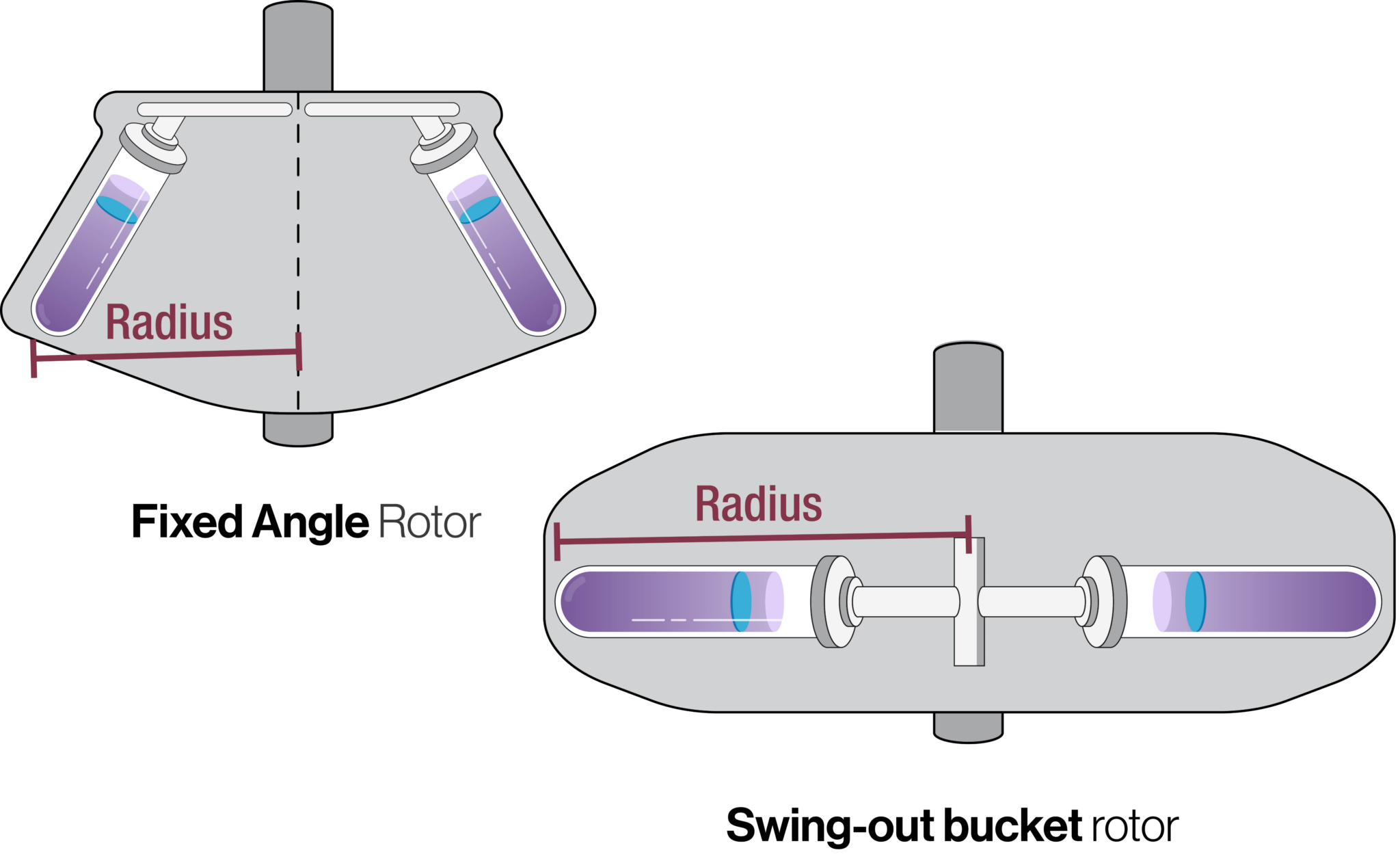 Specimen Prep & Shipping – Boston Heart